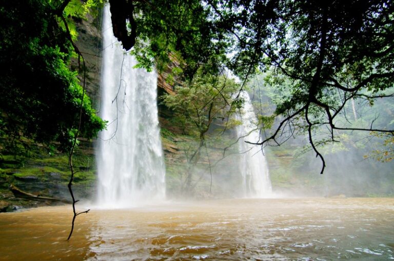 Aburi Botanical Gardens/ Boti Waterfalls Day Trip